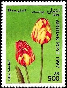 Stamp: Tulipa "Absalon" (Afghanistan) (Tulips) Mi:AF 1721,Yt:AF 1527