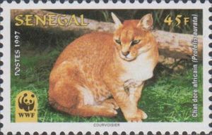 Stamp: African Golden Cat (Profelis aurata) (Senegal(World Nature ...