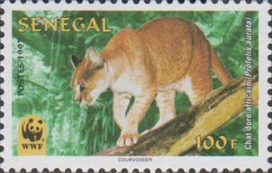 Stamp: African Golden Cat (Profelis aurata) (Senegal) (World Nature ...
