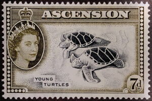 Stamp: Green Sea Turtle (Chelonia mydas) (Ascension Island(Queen ...