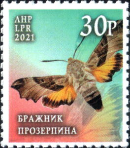Stamp: Proserpinus proserpina (Lugansk People's Republic(Fauna of the ...
