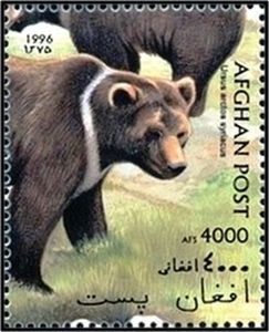 Stamp: Syrian Brown Bear (Ursus arctos syriacus) (Afghanistan) (Bears ...