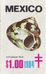 Марка: West Indian Top Shell (Cittarium pica) (Мексика: непоштові марки ...