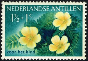 Stamp: Turnera sp. (Netherlands Antilles(Youth Welfare (1955) Flowers ...