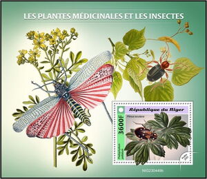 Stamp: Podophyllum peltatum and Ptinus exulans (Niger(Medicinal Plants ...