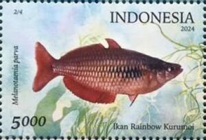 Stamp: Lake Kurumoi Rainbowfish (Melanotaenia parva) (Indonesia(Endemic ...