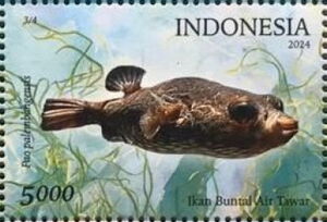 Stamp: Humpback Puffer (Pao palembangensis) (Indonesia(Endemic Fish of ...