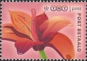 Stamp: Lily - TNT Post (Netherlands) (Postage due - 2007) NVP:NL BZ25