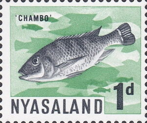 邮票: Chambo Fish (Lamprologus elongatus) (尼亚萨兰(Pictorial Definitive ...