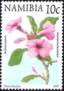 Stamp: Bushman poison (Namibia(Flora and Fauna) Mi:NA 877A,Sn:NA 854,Yt ...