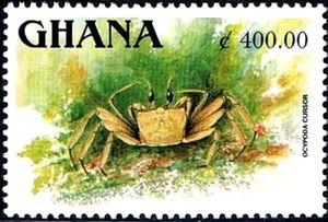 Stamp: Tufted Ghost Crab (Ocypode cursor) (Ghana(Crabs) Mi:GH 1756,Sn ...
