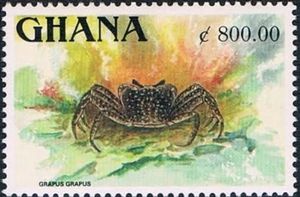 Stamp: Sally Lightfoot Crab (Grapsus grapsus) (Ghana) (Crabs) Mi:GH ...