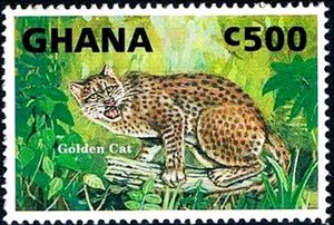 Stamp: African Golden Cat (Profelis aurata) (Ghana) (Wild Animals) Mi ...