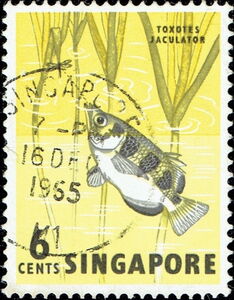 Stamp: Banded Archerfish (Toxotes jaculator) (Singapore(Flora and Fauna ...