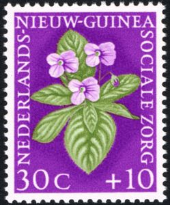 Stamp: Gesneriacea (Netherlands New Guinea(Surtax for the Red Cross) Mi ...