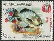 Timbre: Rudder Fish (Kyphosus sp.) (Yémen, Royaume(Winter Olympics in ...