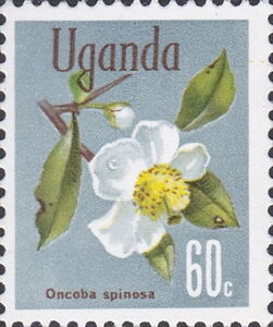 Stamp: Snuff-box tree (Oncoba spinosa) (Uganda(Native Flora) Mi:UG 112 ...