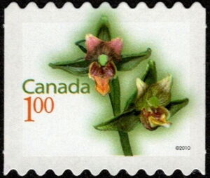 Stamp: Giant Helleborine (Epipactis gigantea) - Rounded perfs (Canada ...