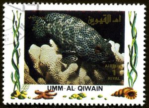 Stamp: Tropical fish (Umm al-Qiwain(Tropical fishes; large format) Mi ...
