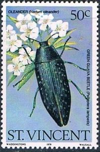 Stamp: Green Guava Beetle (Psiloptera lampetis), Oleander (Saint ...