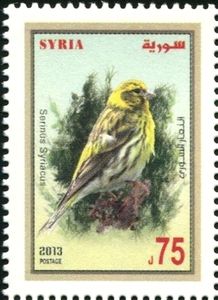 Stamp: Syrian Serin (Serinus syriacus) (Syria(Birds (2013)) Mi:SY 2418 ...