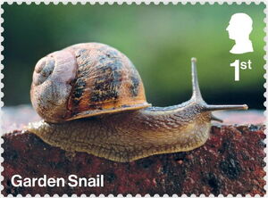 Stamp: Garden Snail (United Kingdom of Great Britain & Northern Ireland ...
