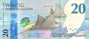 Sedel: 20 Gulden (Curaçao och Sint Maarten(2025 Issue) Wor:P-2a 💴