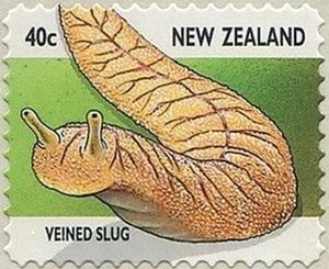 Stamp: Leaf-veined Slug (Athoracophorus bitentaculatus) (New Zealand ...