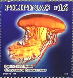 Stamp: Pacific sea nettle (Chrysaora fuscescens) (Philippines(Jellyfish ...