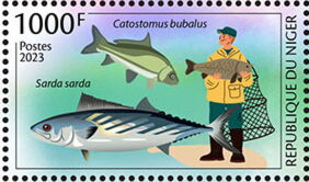 Stamp: Catostomus bubalus, Sarda sarda (Niger(Fishes (2023)) Yt:NE 8641 📮