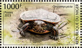 Stamp: Chrysemys picta (Niger(Turtles (2023)) Yt:NE 8642 📮