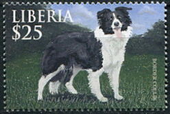 Stamp: Border Collie (Liberia(Working Dogs) Mi:LR 3529,Yt:LR 2339,Col ...