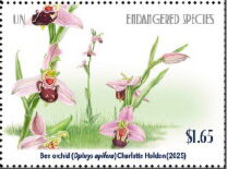 Stamp: Bee Orchid (Ophrys apifera) (UNO New York(Endangered Species ...