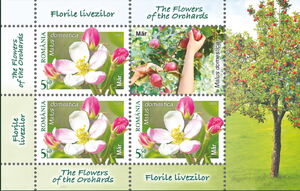 Stamp: Apple (Malus domestica) (Romania(Flowers of Orchard Trees (2025 ...