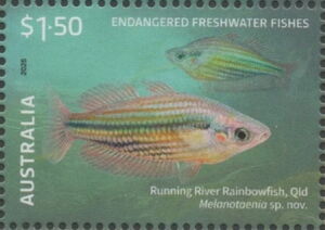 Stamp: Running River Rainbowfish (Melanotaenia sp. nov.) (Australia ...