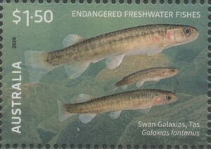 Stamp: Swan Galaxias (Galaxias fontanus) (Australia(Endangered ...