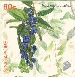 Stamp: Nephroia orbiculata (Singapore(Endangered Flora of Singapore ...