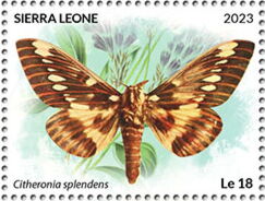 Stamp: Citheronia splendens (Sierra Leone(Moths (2023.1)) Yt:SL 12724 📮