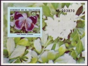Stamp: Butterfly (Anaea proserpina) (El Salvador) (Butterflies (1990 ...