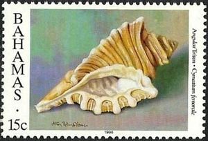 Stamp: Angular Triton (Cymatium femorale) (Bahamas(Shells) Mi:BS 891I ...