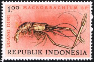 Stamp: Duri Freshwater Shrimp (Macrobrachius duri) (Indonesia(Marine ...
