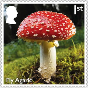 Stamp: Fly Agaric (Amanita muscaria) (United Kingdom of Great Britain & Northern Ireland ...