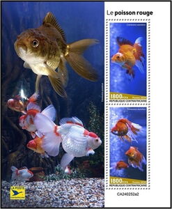 Stamp: Goldfish (Carassius auratus) (Central African Republic(Goldfish ...