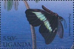 Stamp: Prepona Butterfly (Prepona antimache) (Uganda(Butterflies (1996 ...