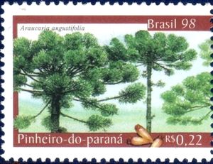 Stamp: Pinheiro (Brazil(Preservation of Flora and Fauna) Mi:BR 2875,Sn ...