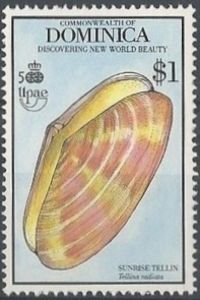 Stamp: Sunrise Tellin (Tellina radiata) (Dominica) (Shells) Mi:DM 1322 ...