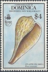 Stamp: Common Fig Shell (Ficus communis) (Dominica) (Shells) Mi:DM 1325 ...