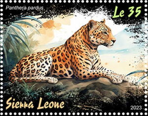 Stamp: Panthera pardus (Sierra Leone(Leopards (2023)) Yt:SL 14342 📮