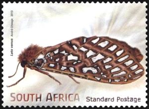 Stamp: Silver Spotted Ghost (Leto venus) (South Africa(Butterflies ...