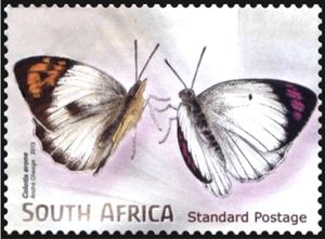 Stamp: Coast Purple Tip (Colotis erone) (South Africa(Butterflies ...